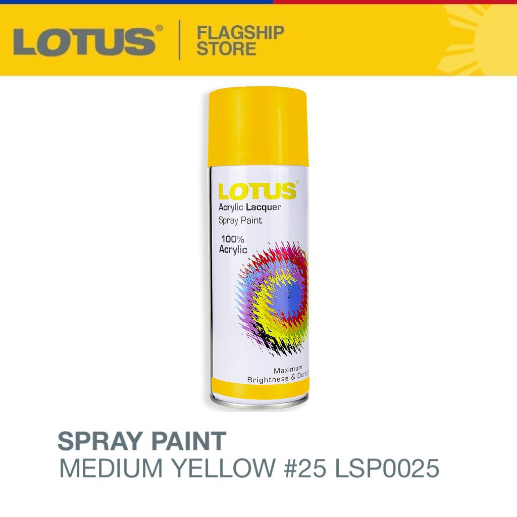 Lotus Spray Paint (Blue,Grey,Green,White,Black,Silver,Red,Matt Black ...